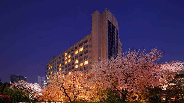 Yozakura Theater | Things to do in Tokyo