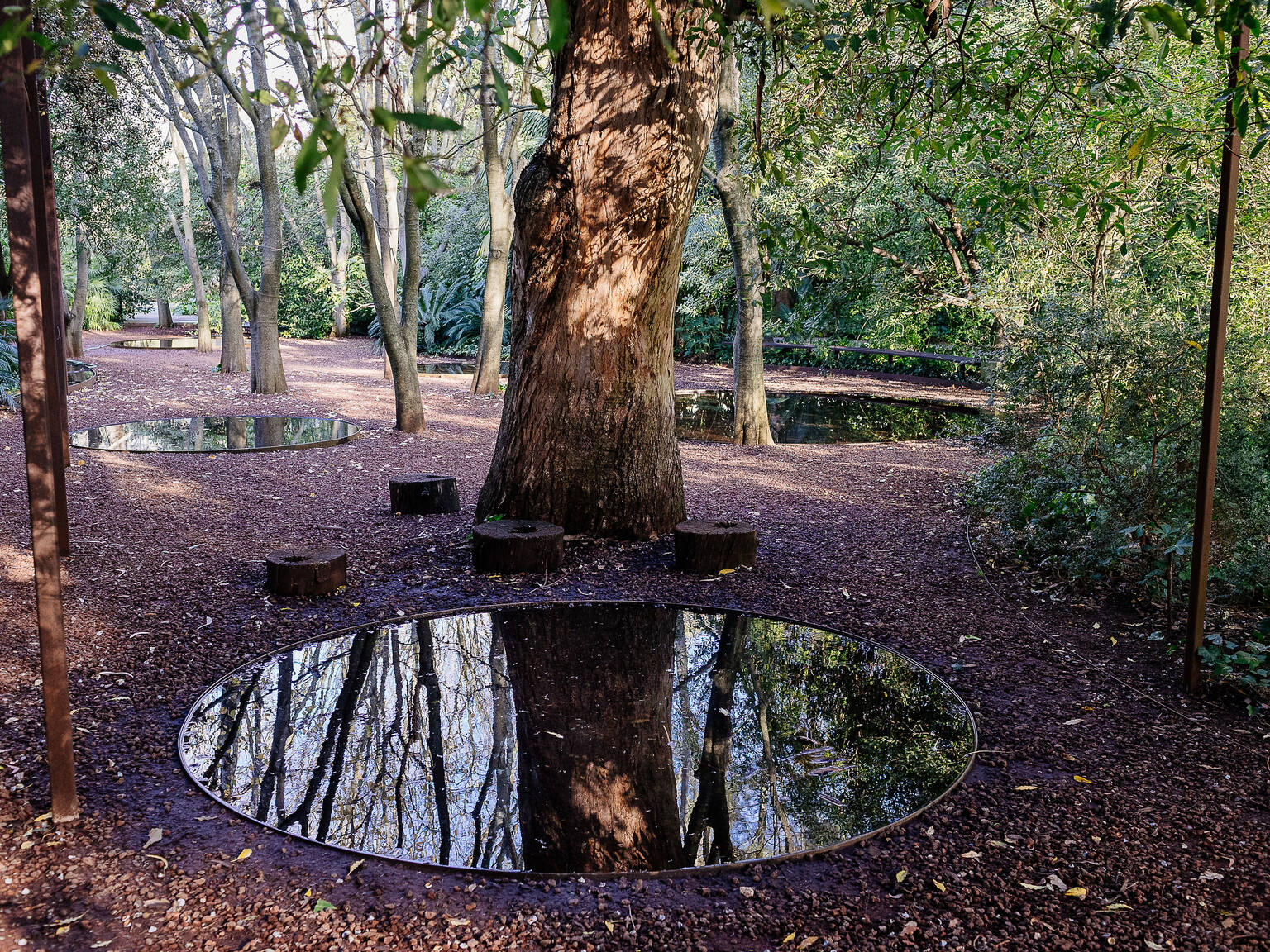 Da Estrela a Monsanto: 21 parques e jardins de Lisboa