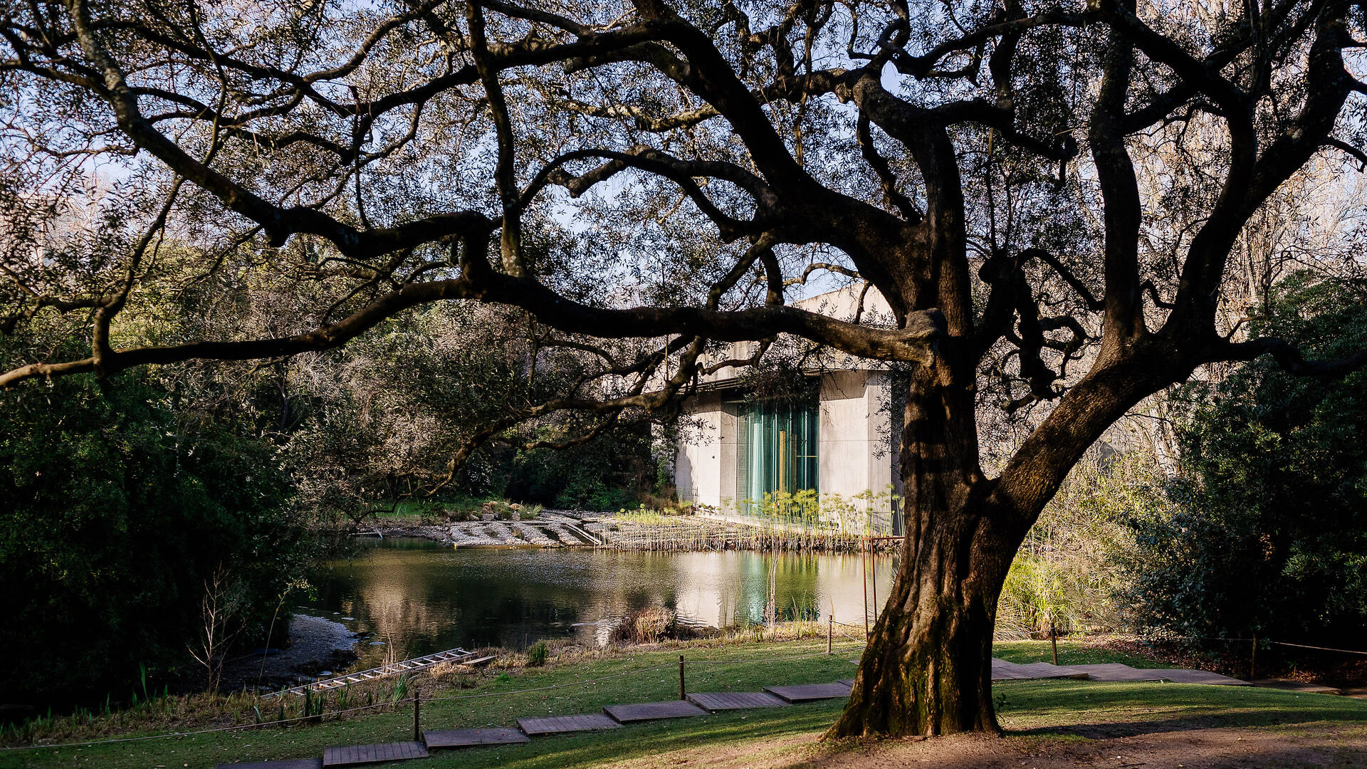 Da Estrela a Monsanto: 25 parques e jardins em Lisboa
