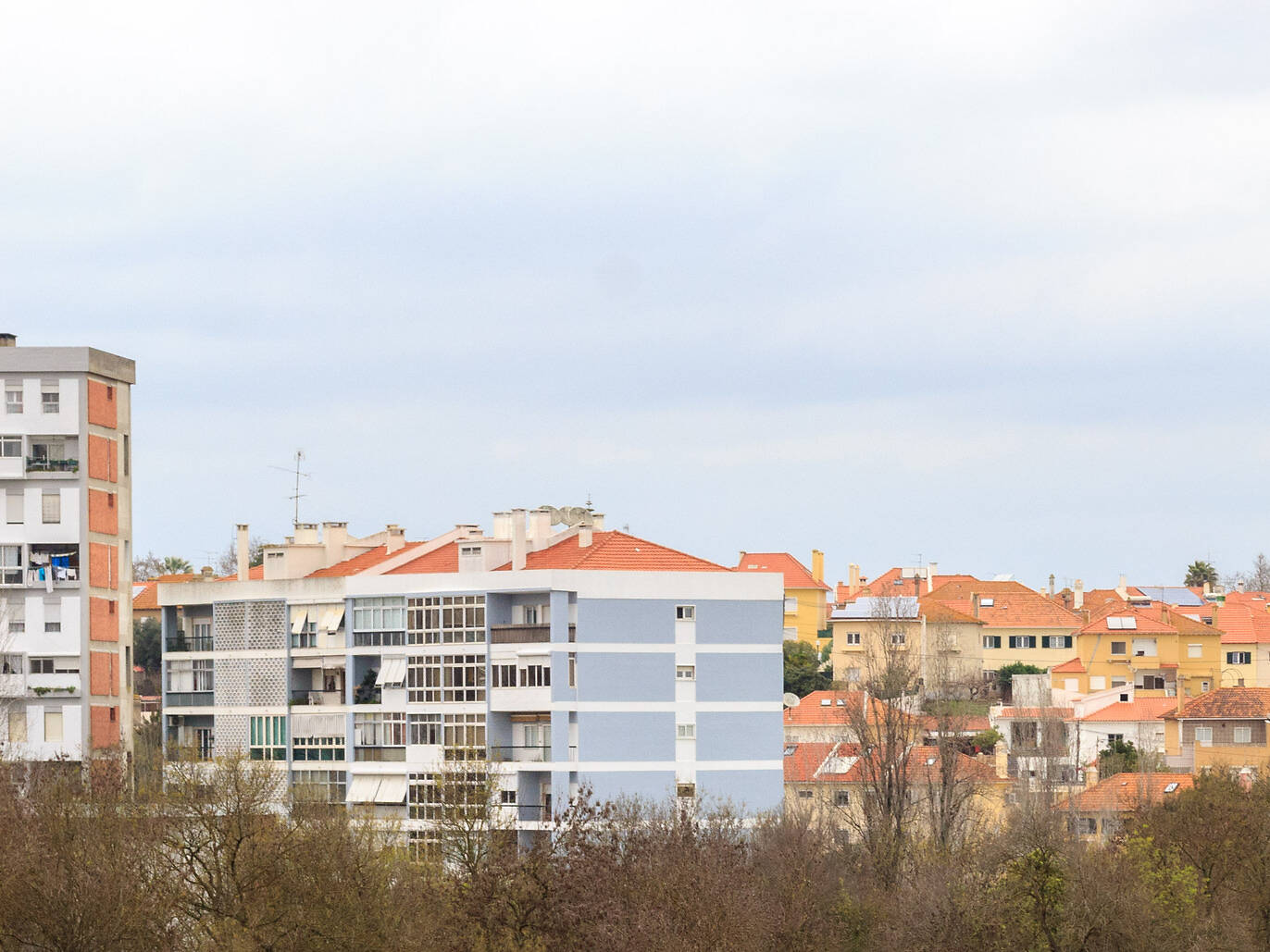 Da Estrela a Monsanto: 21 parques e jardins de Lisboa