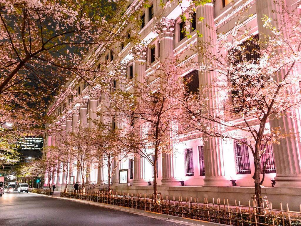 Things to do in Tokyo today | Time Out Tokyo