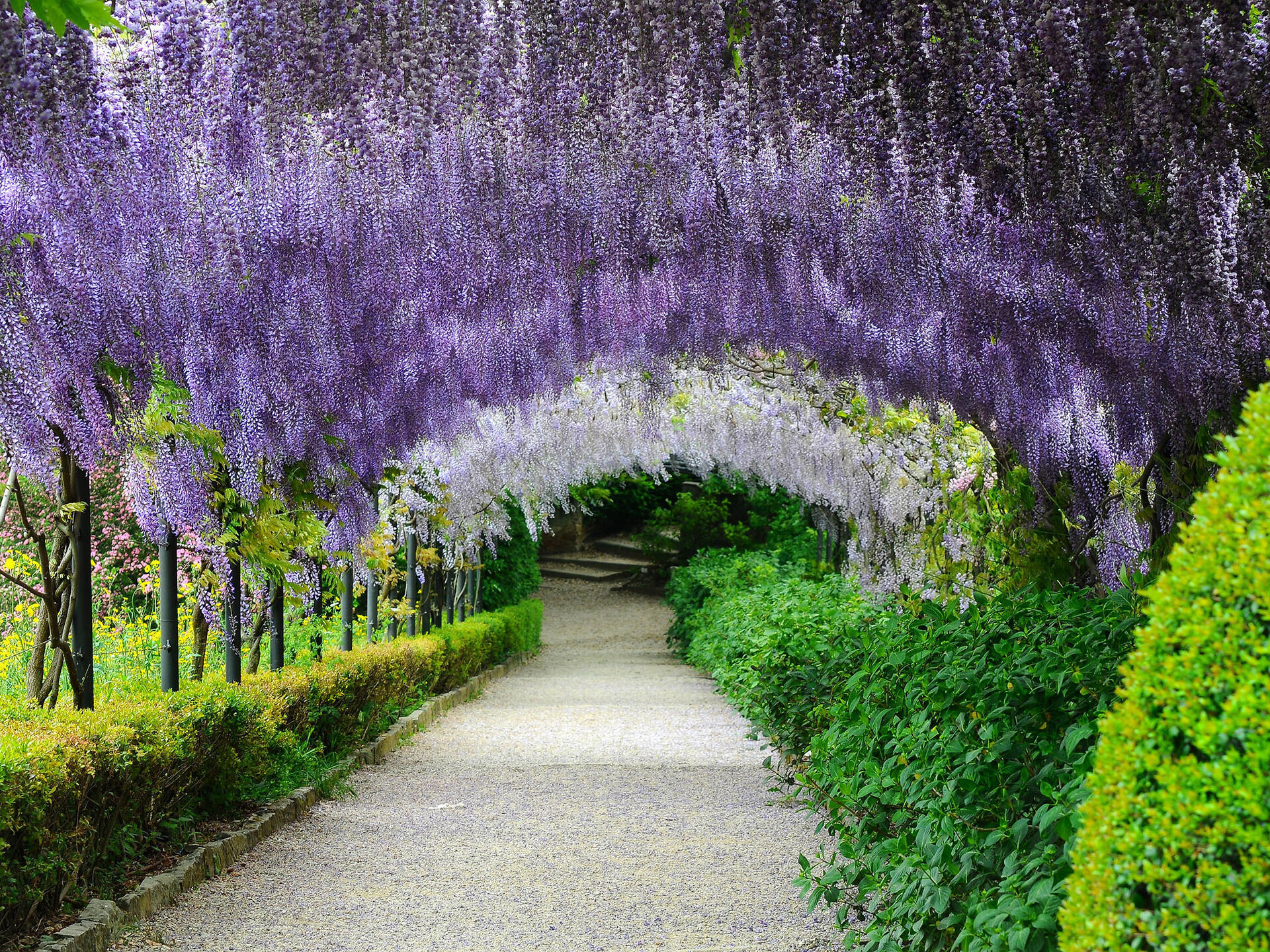 21 Best Things to do in Florence in 2023