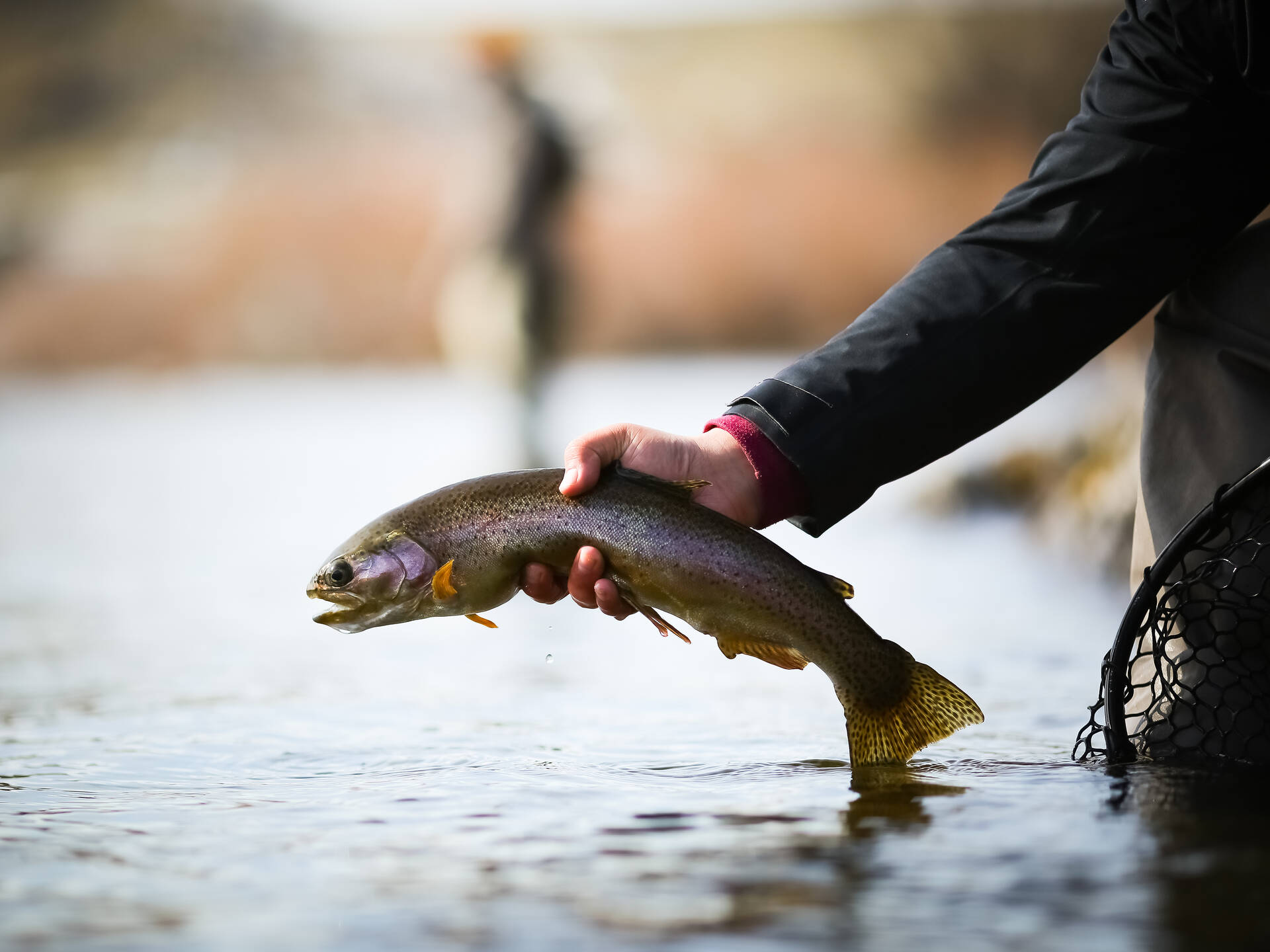 15 Best Fishing Spots in the US for All Types of Anglers