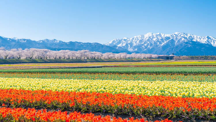 Photo Exhibition: The Real Toyama | Art in Tokyo