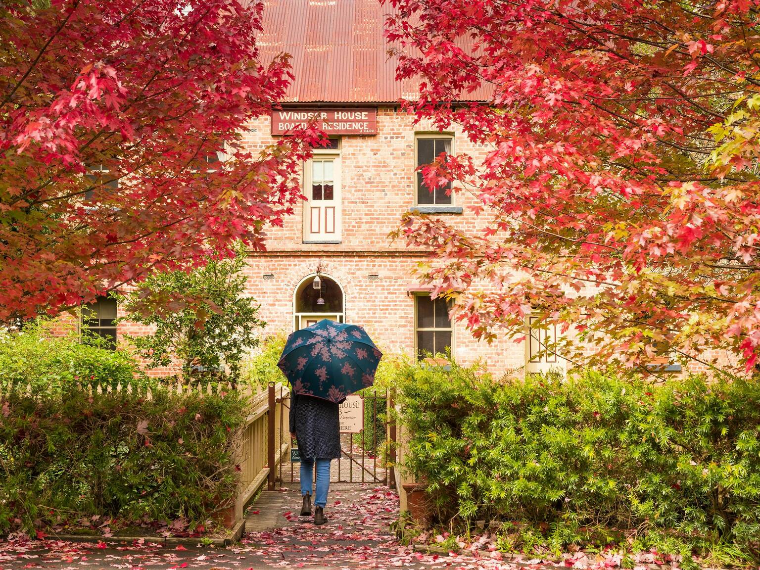 Autumn Leaves in Melbourne: Best Places To See Beautiful Autumn Colour ...