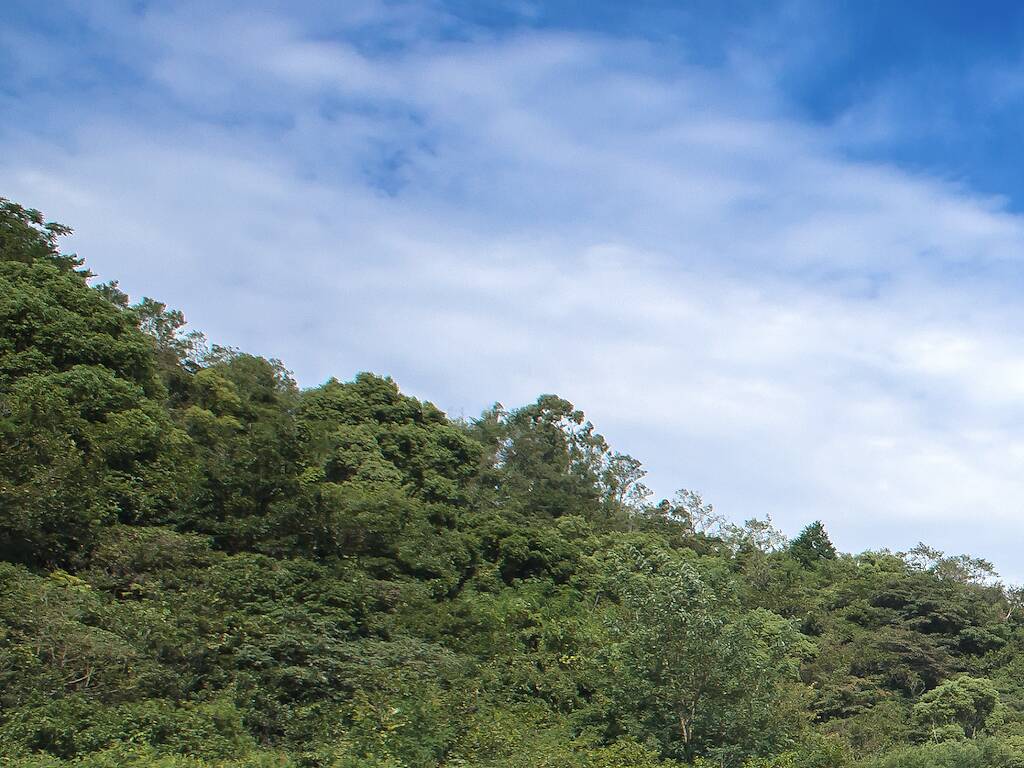 Naoshima art island: best museums, where to stay and what to do