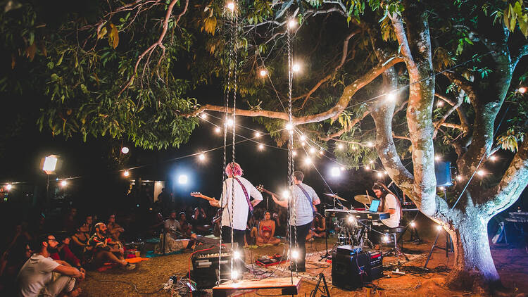 Concerts for Good: Support Women-Led Environmental Action | Music in ...