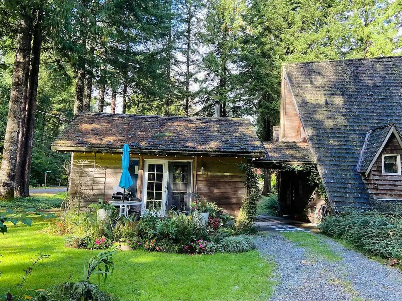 The 16 Best Airbnb Cabins near Seattle Well Worth Booking