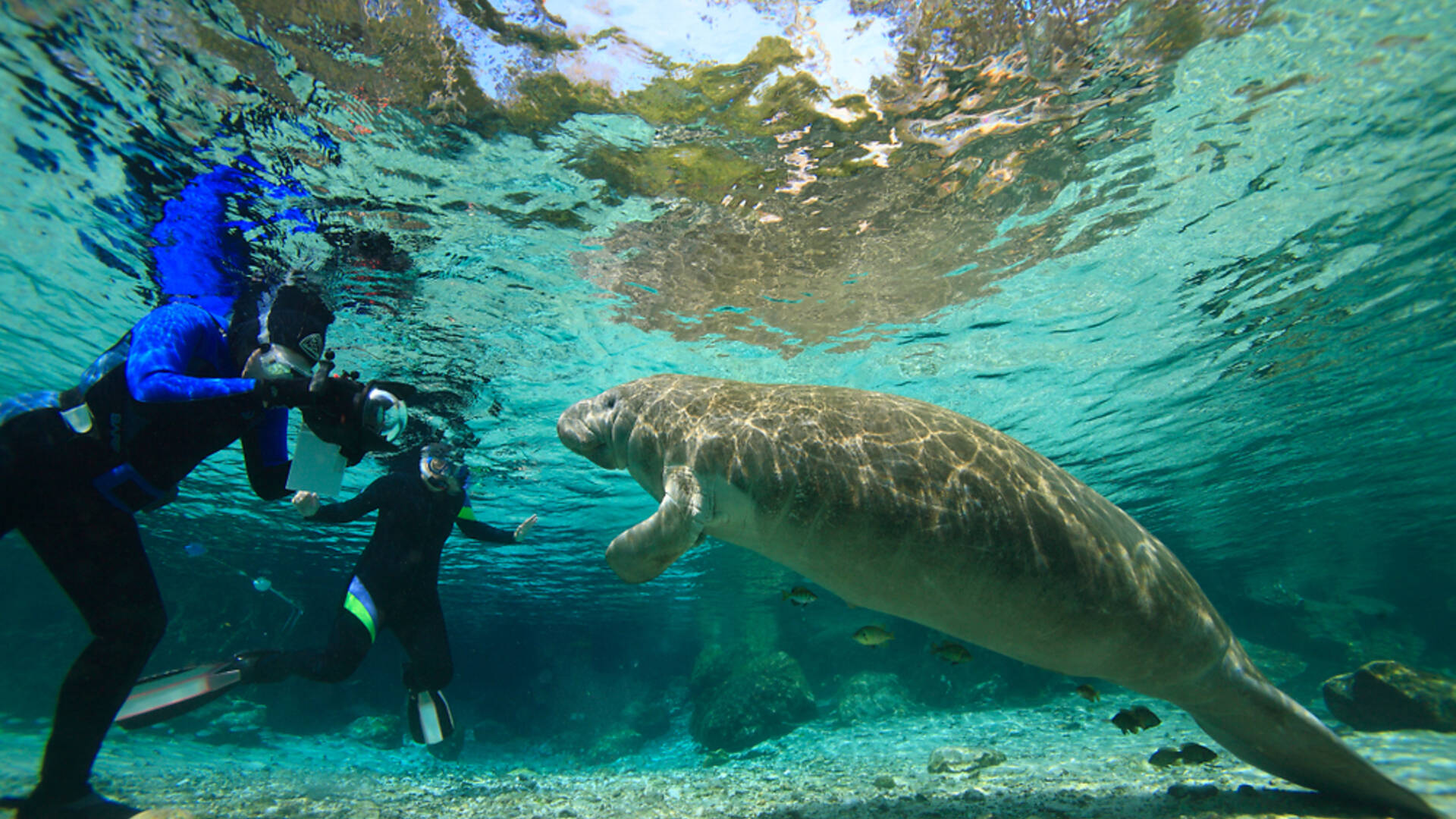 15 Of The Most Spectacular Places To Swim In The World Today