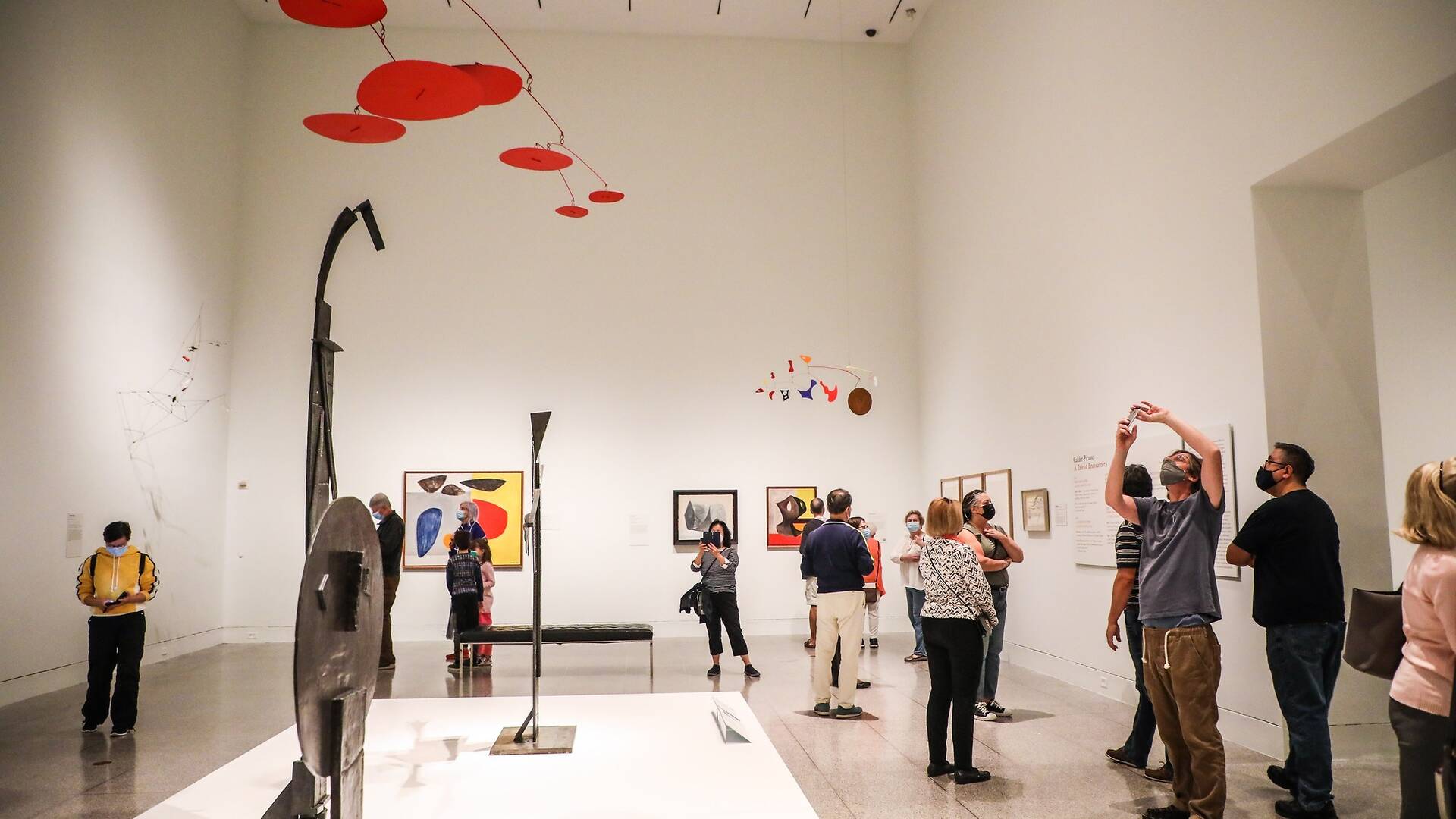 10 Best Museums in Houston