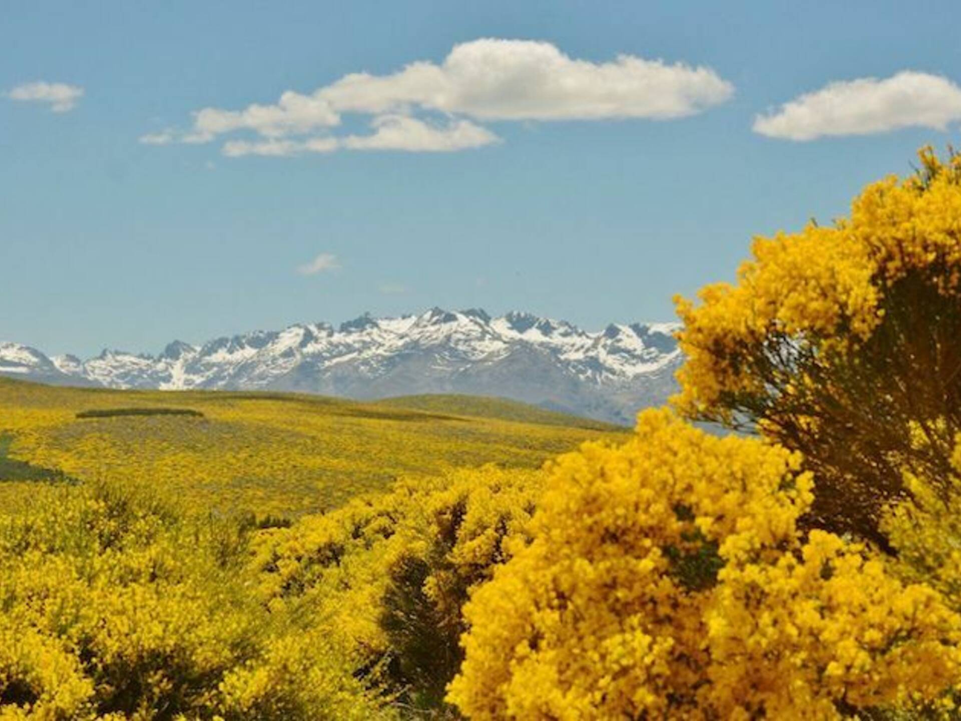 Escapadas de primavera: 7 destinos por España a los que las flores les ...