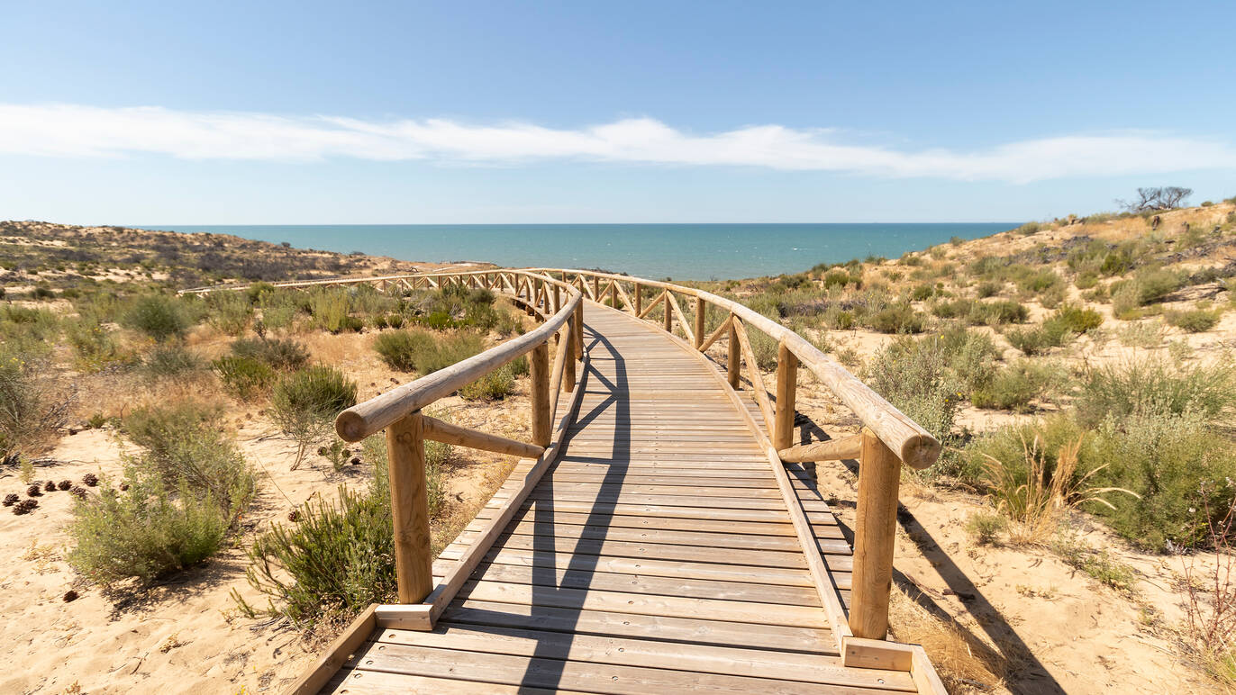 Escapadas de primavera: 7 destinos por España a los que las flores les ...