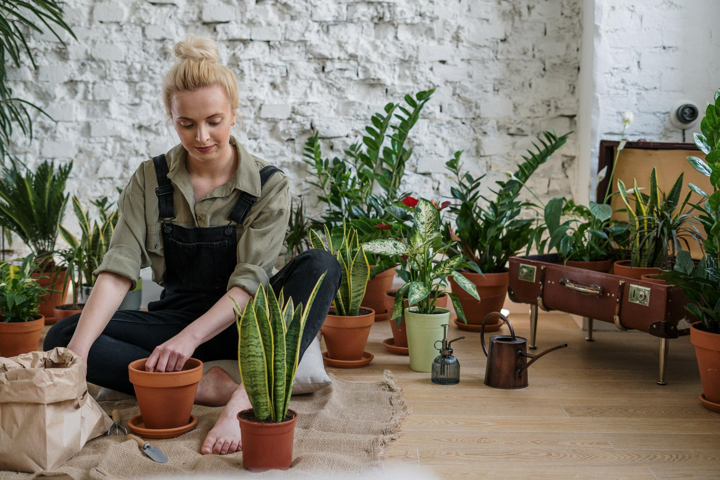 Garden State Festival | Things to do in Melbourne