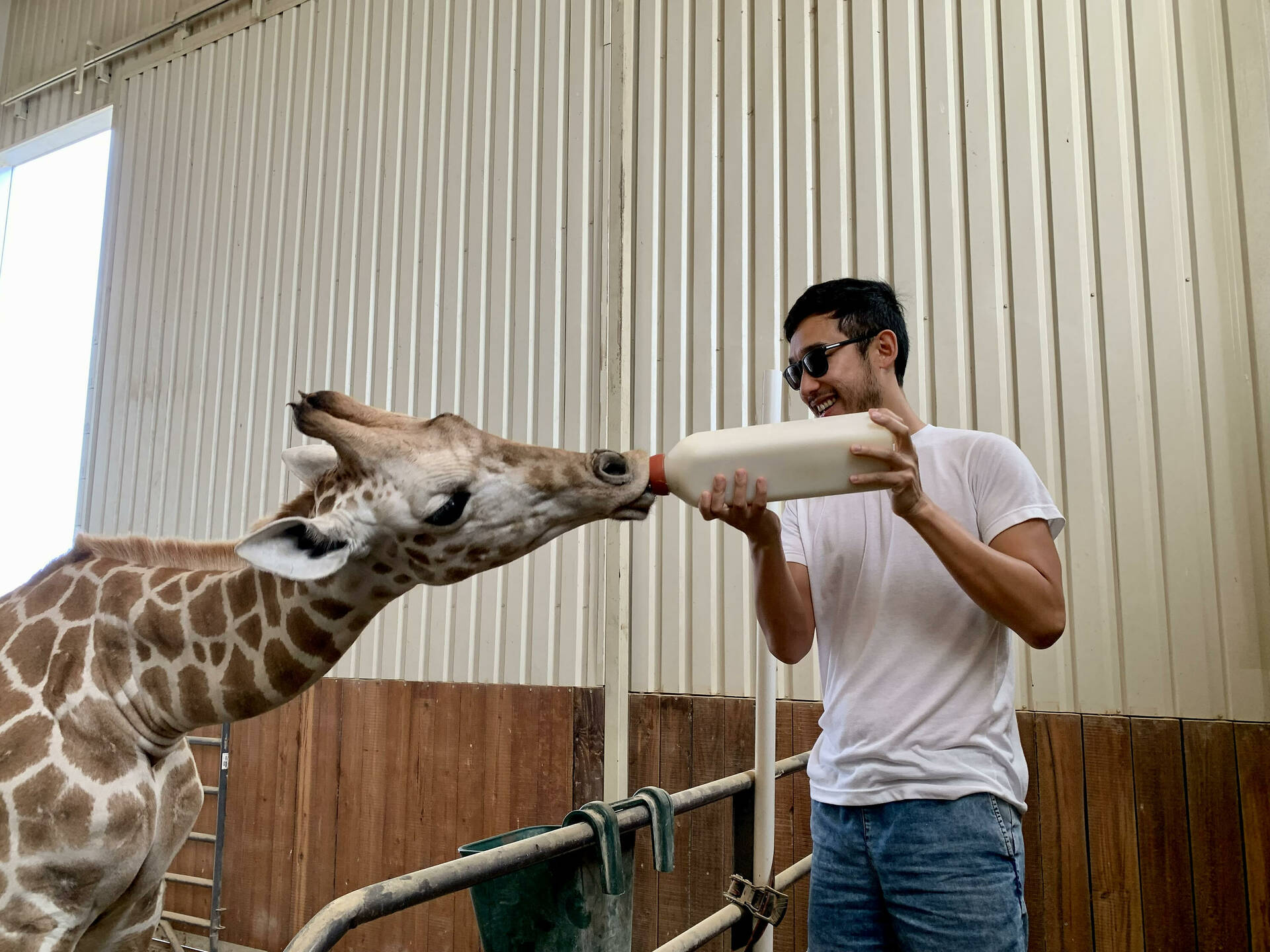 15 Best Austin Experiences To Give As Gifts