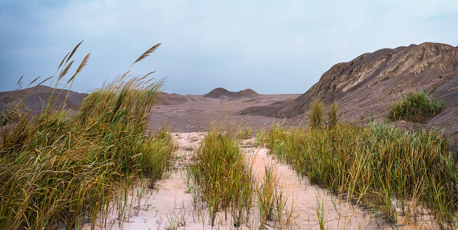 Chronicle of the Landscape | Things to do in กรุงเทพมหานคร