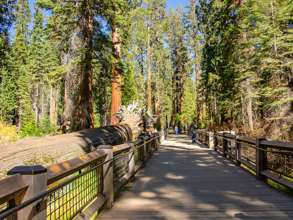 13 Best Hikes and Trails in Yosemite