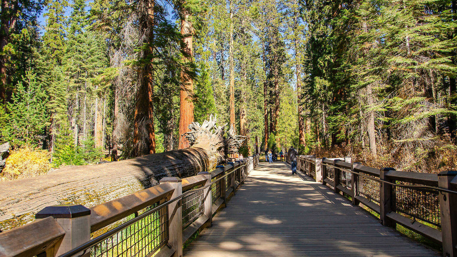 13 Best Hikes and Trails in Yosemite