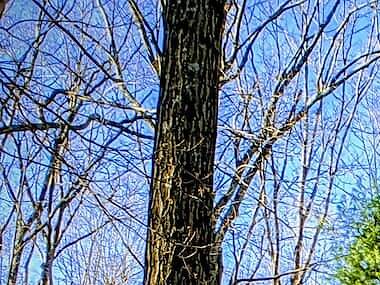 Time Out Philadelphia: Things to do, Restaurants and More