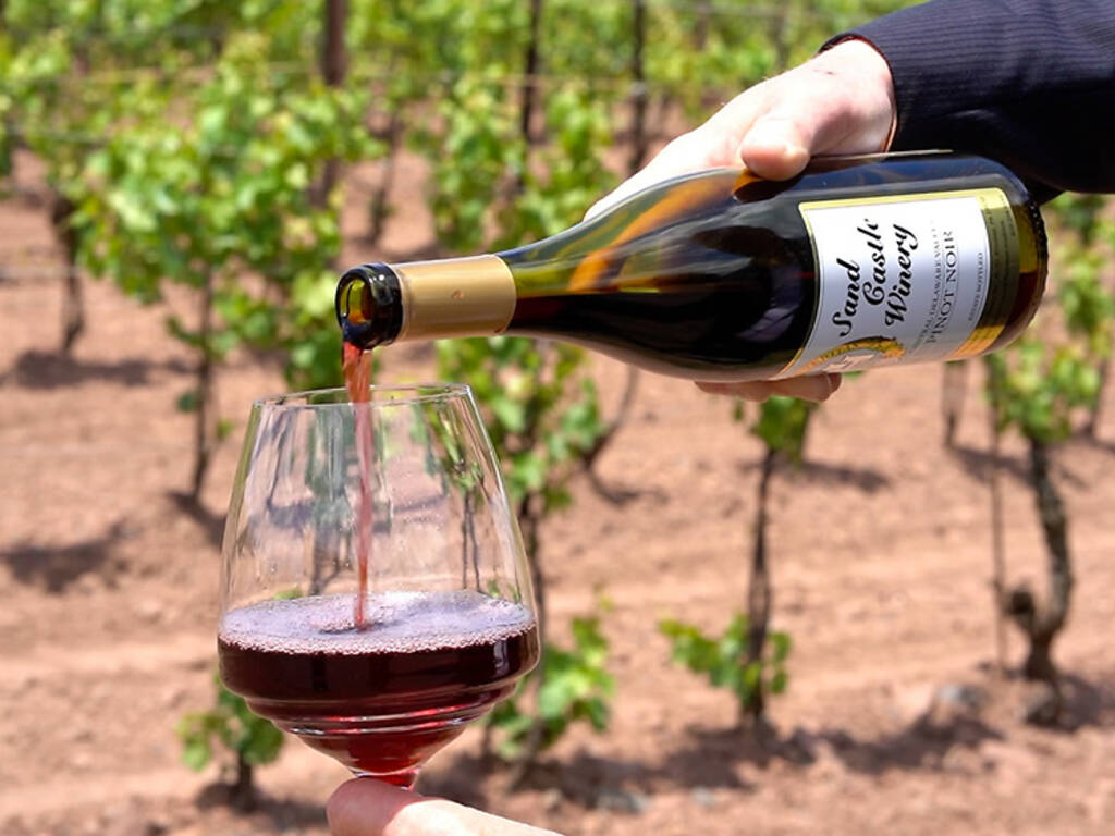10 Secret US Wine Regions for Under-the-Radar Varietals