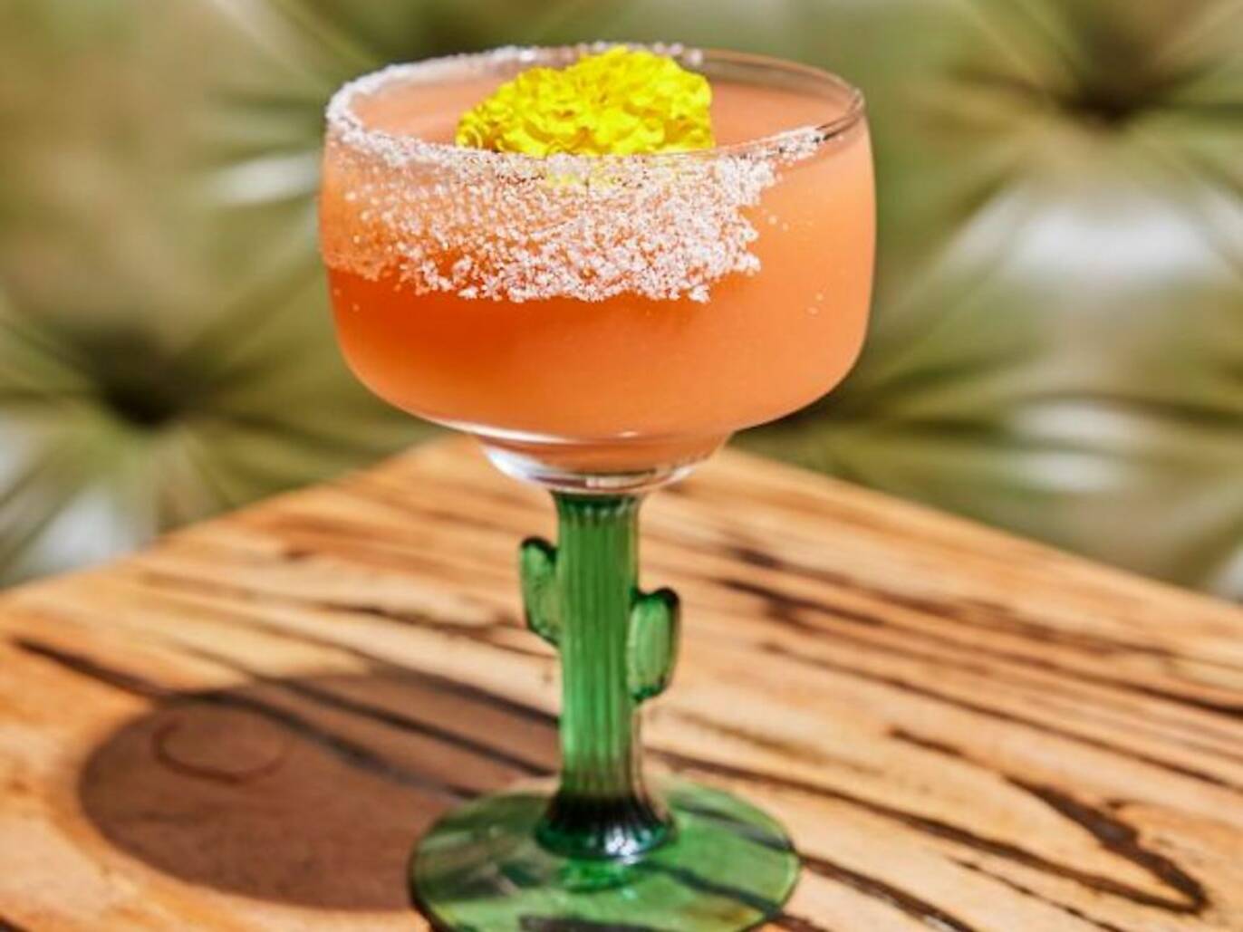 17 Best Frozen Cocktails in Miami You Need to Try