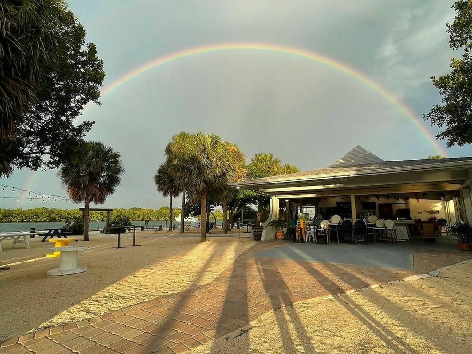 20 Best Miami Beach Bars For Stunning Views of the Water