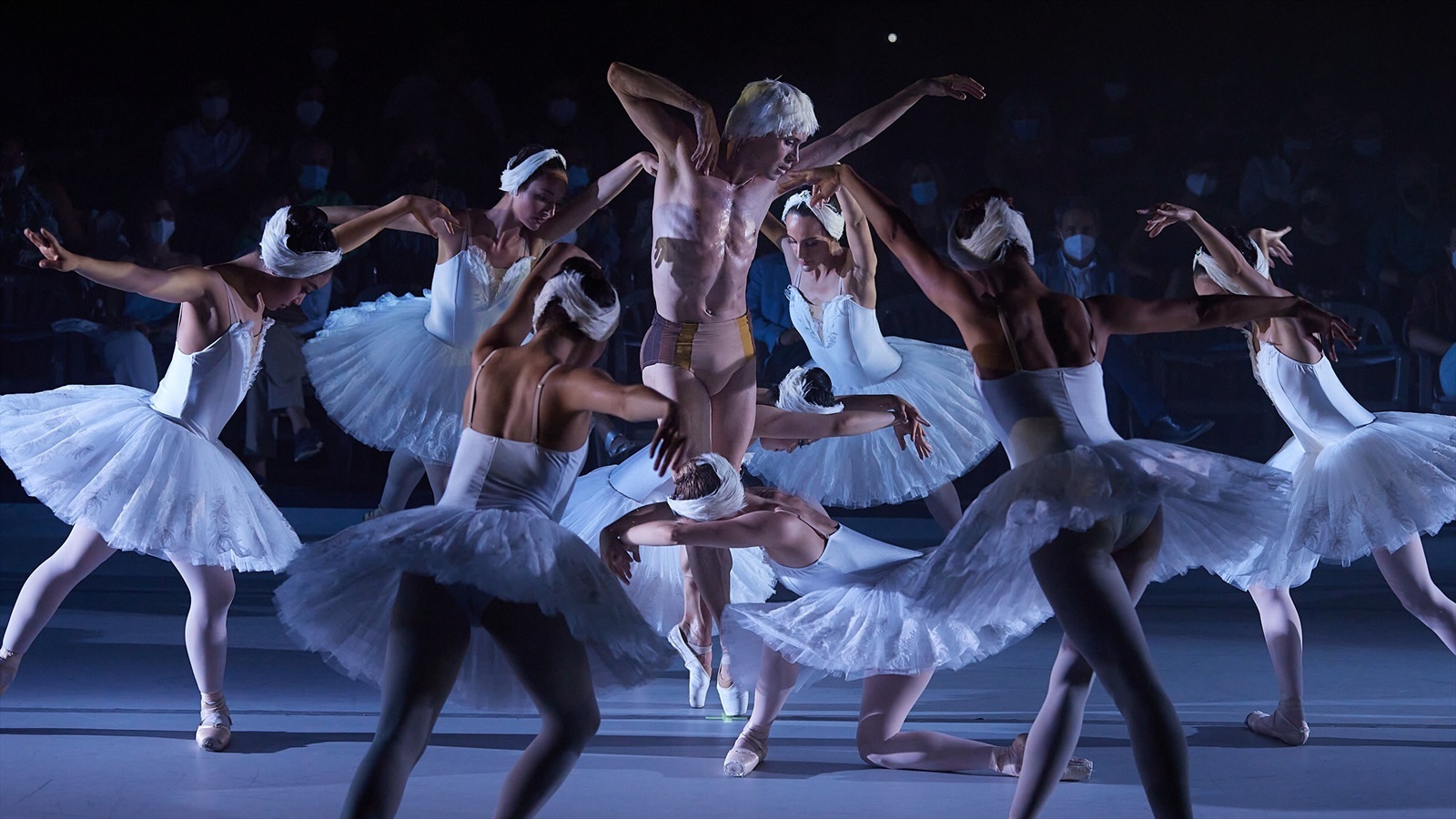 'Perspectives' del Ballet de Barcelona