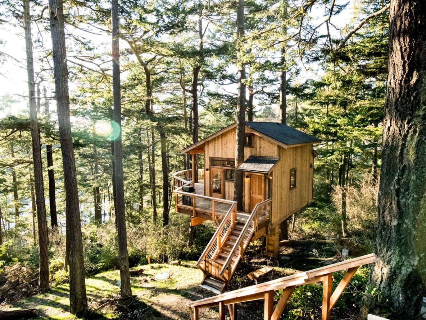 The 9 Best Airbnb Treehouses near Seattle
