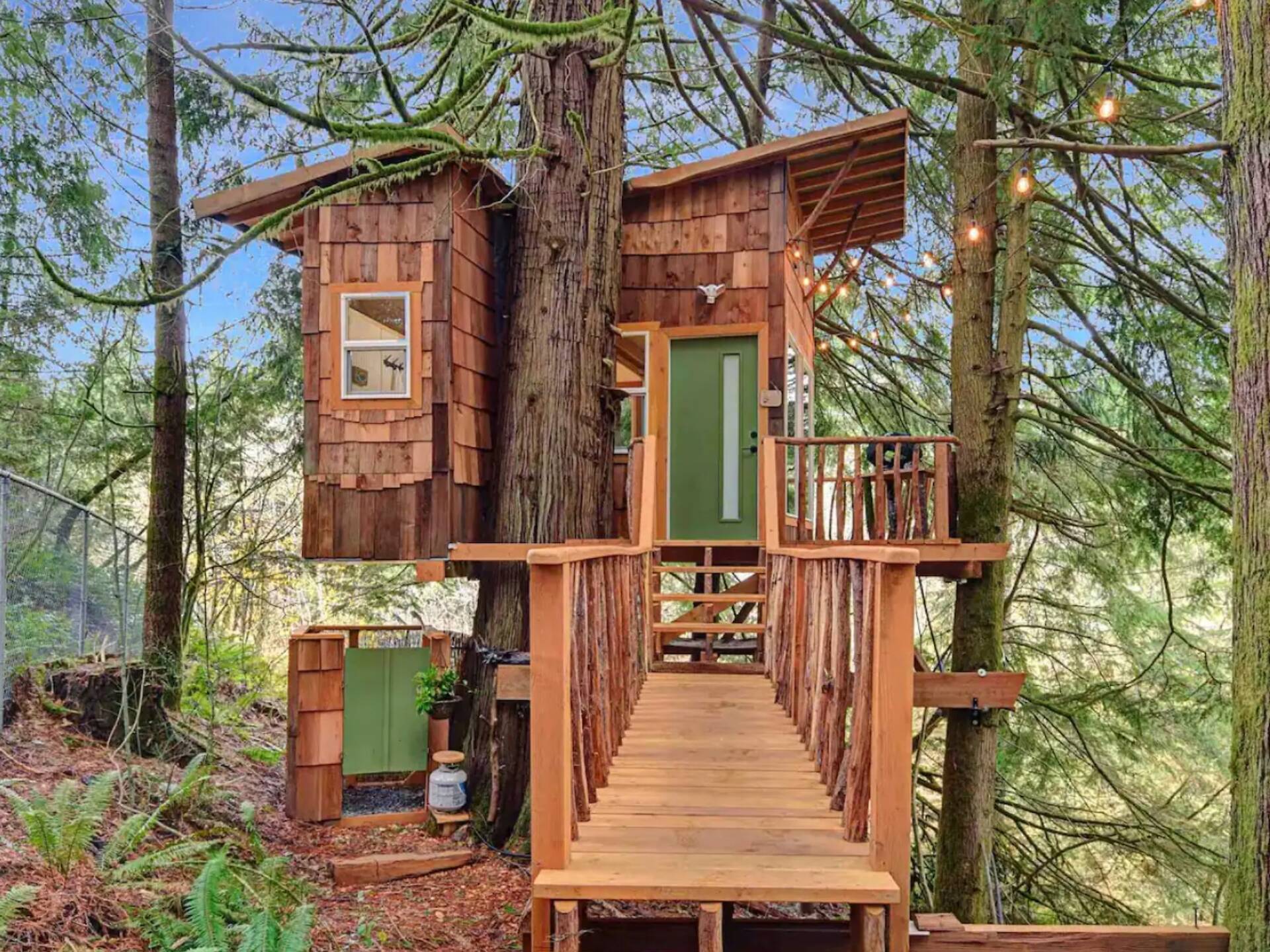 The 9 Best Airbnb Treehouses near Seattle