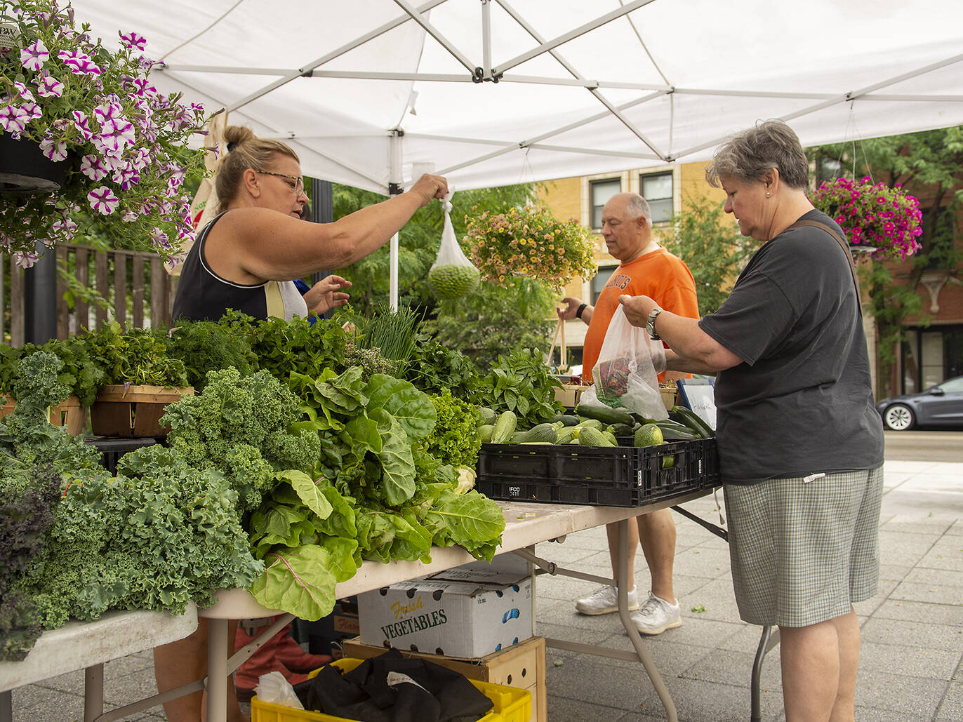 23 Best Farmers Markets in Chicago to Explore