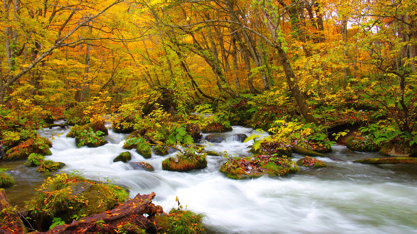 24 of the most beautiful places you should visit in Japan