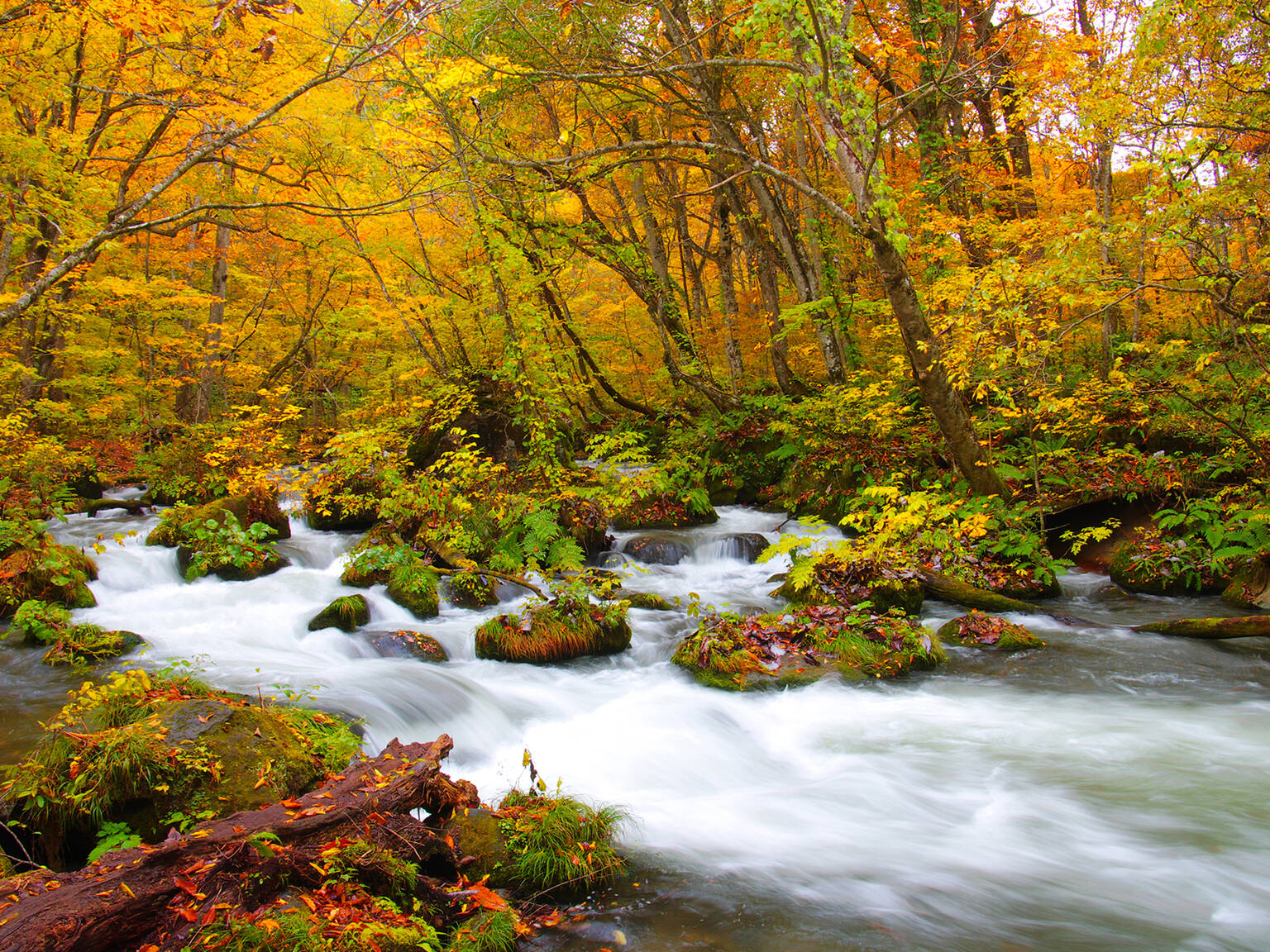 24 of the most beautiful places you should visit in Japan