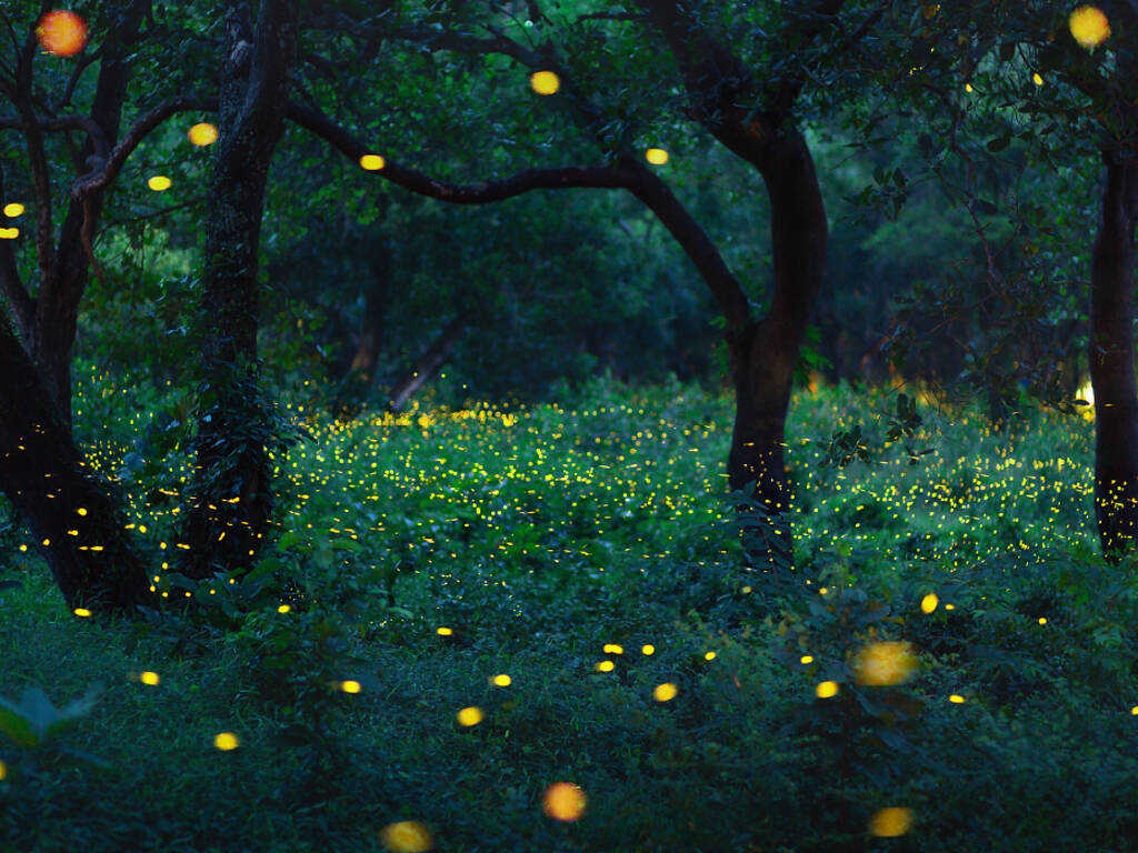 10 best public swimming pools in Tokyo – from ¥200 per entry