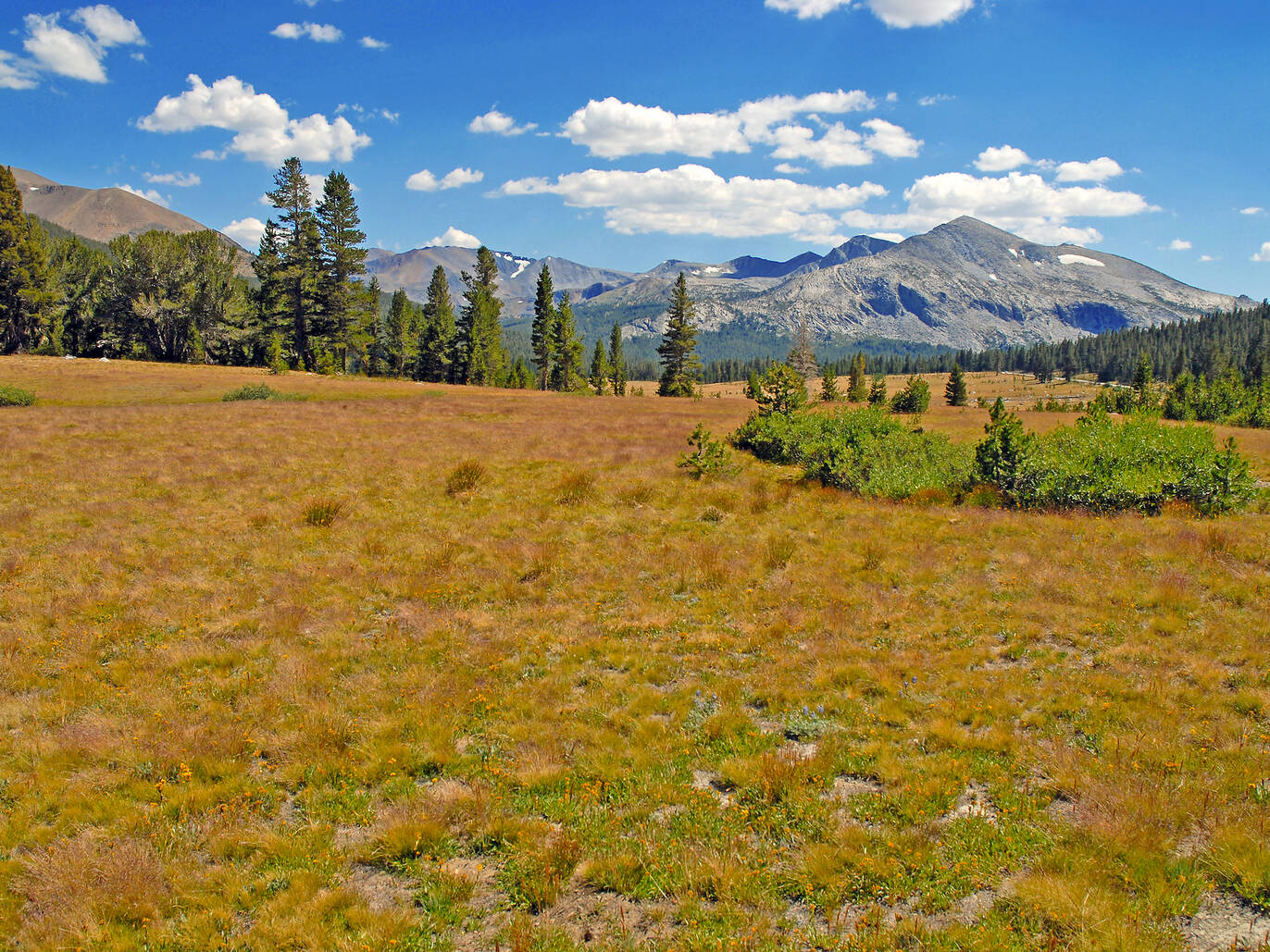 13 Best Campgrounds at Yosemite National Park