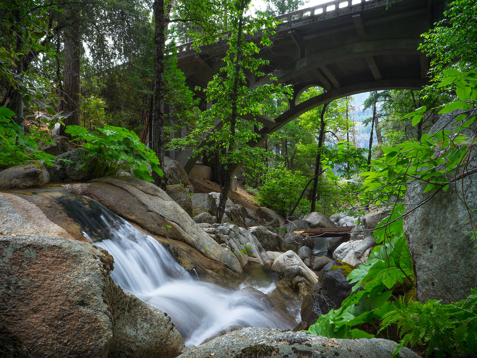13 Best Campgrounds at Yosemite National Park