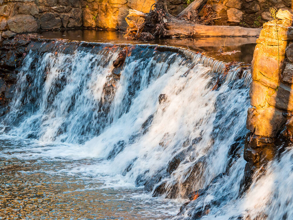 11 Best Parks in Atlanta for Fresh Air and Fun