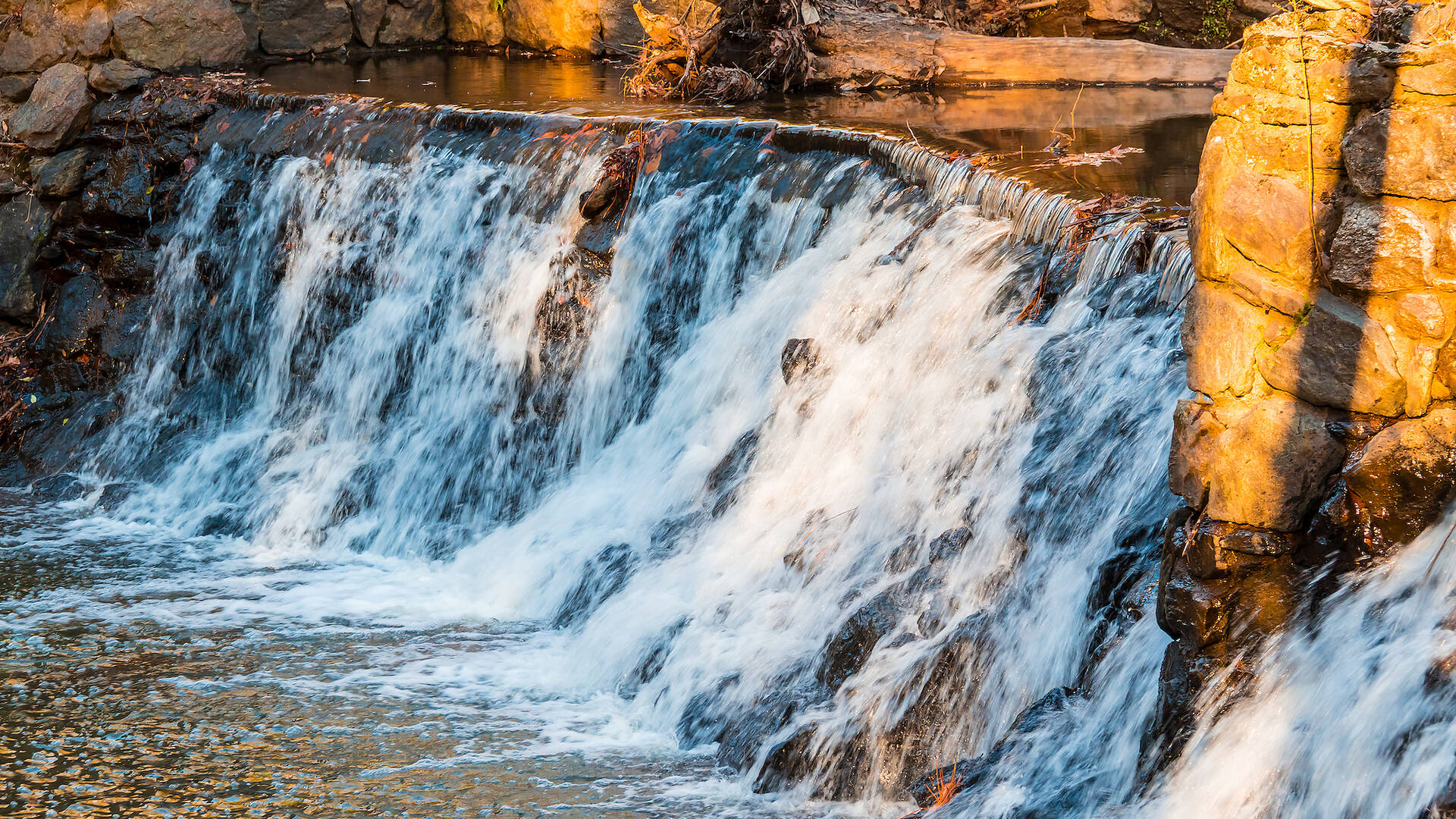 11 Best Parks in Atlanta for Fresh Air and Fun
