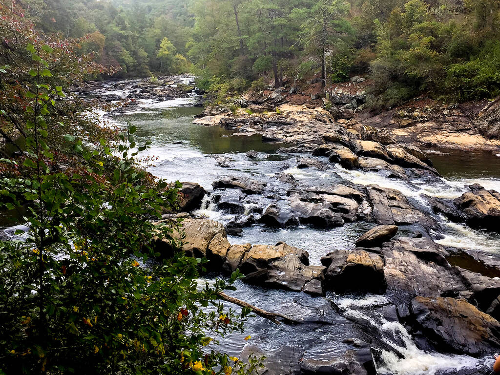 11 Best Parks in Atlanta for Fresh Air and Fun