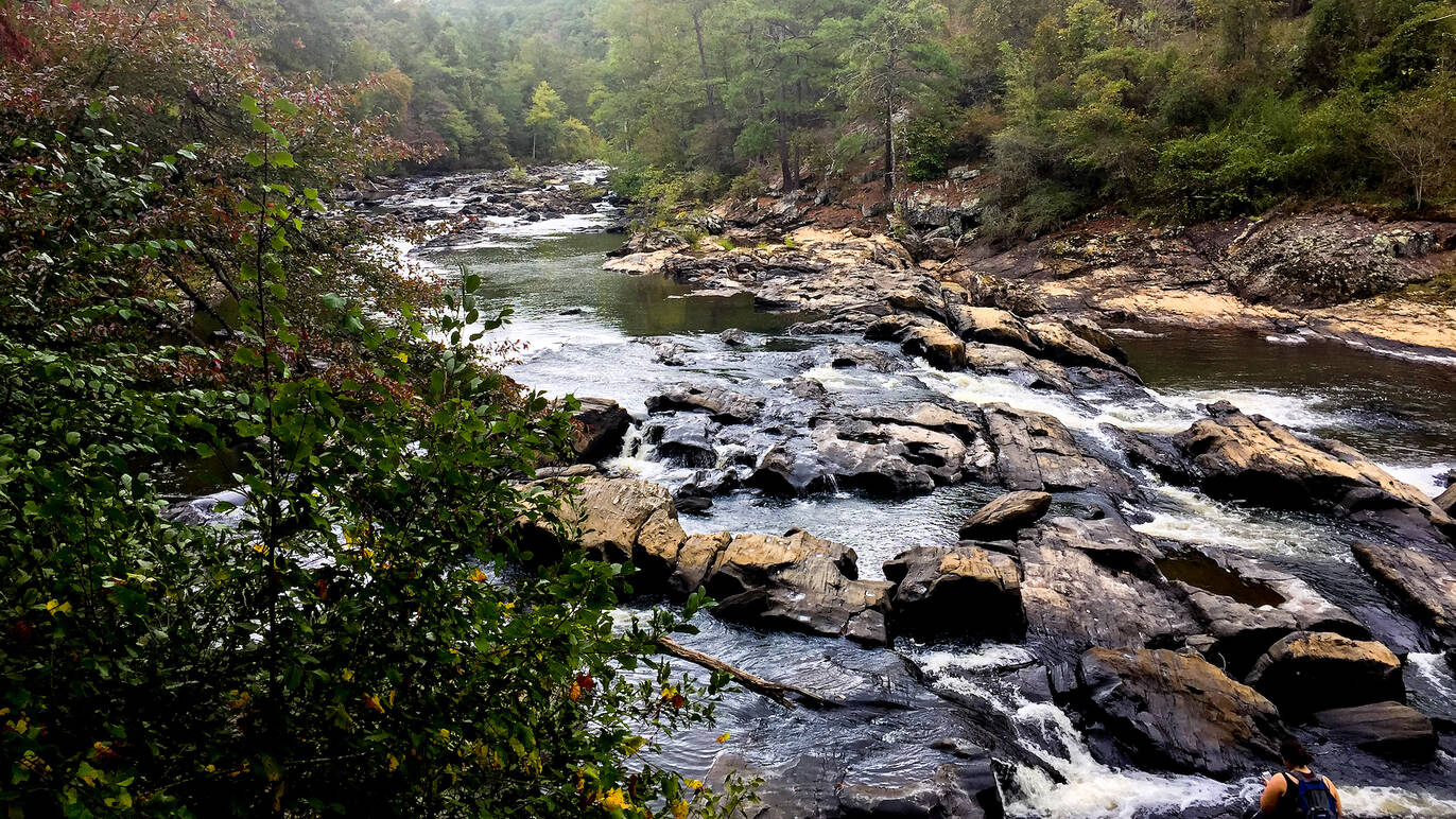 11 Best Parks in Atlanta for Fresh Air and Fun