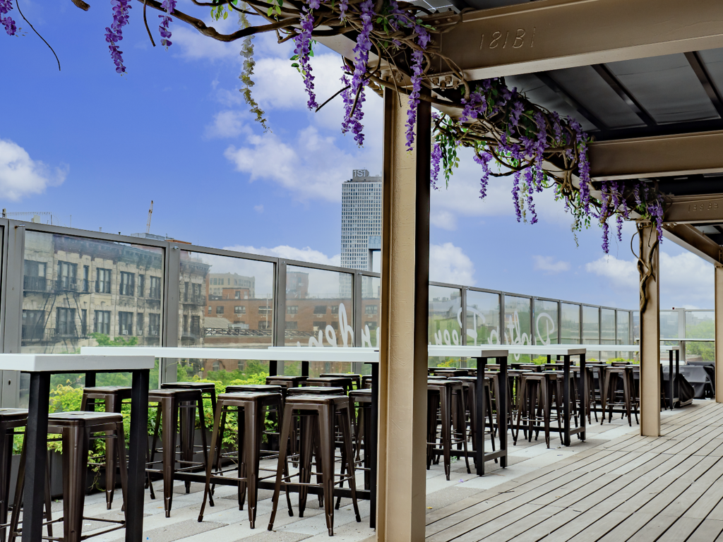 Best Rooftop Bars in Williamsburg