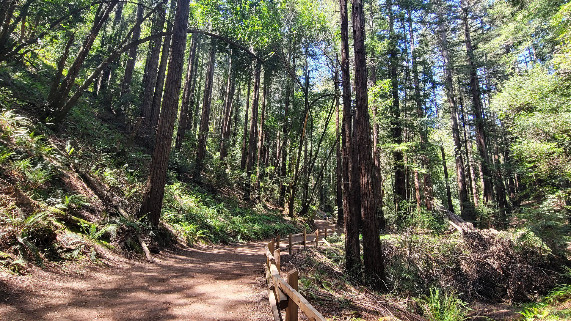 10 Best Places to Hike in the Bay Area
