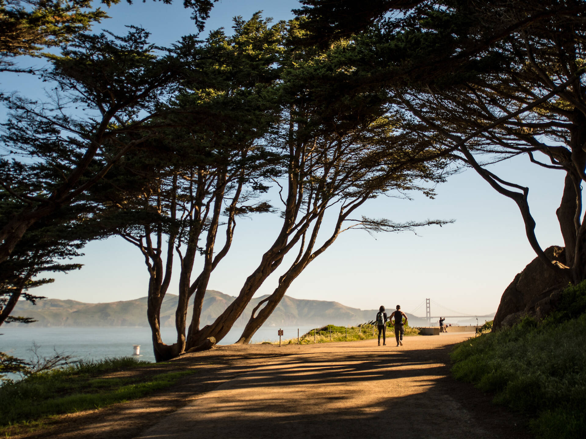 10 Best Places to Hike in the Bay Area