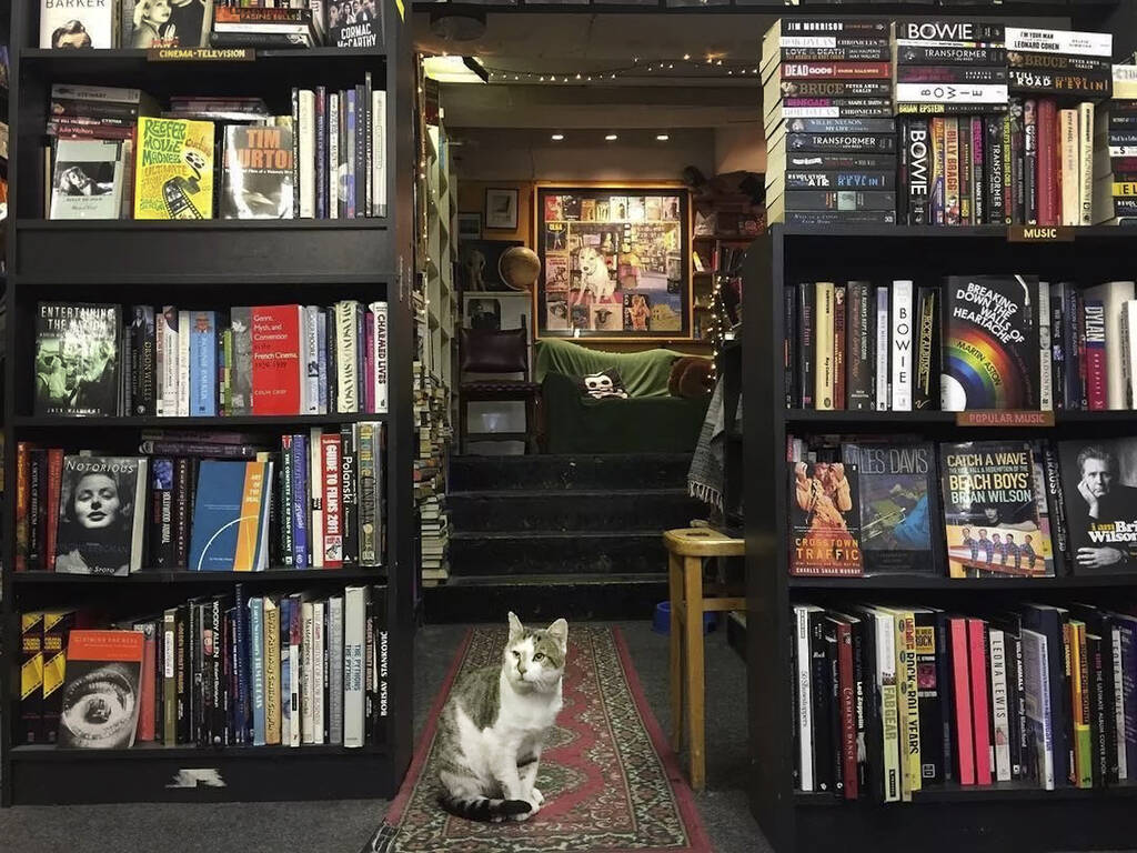 28 Brilliant Bookshops in London