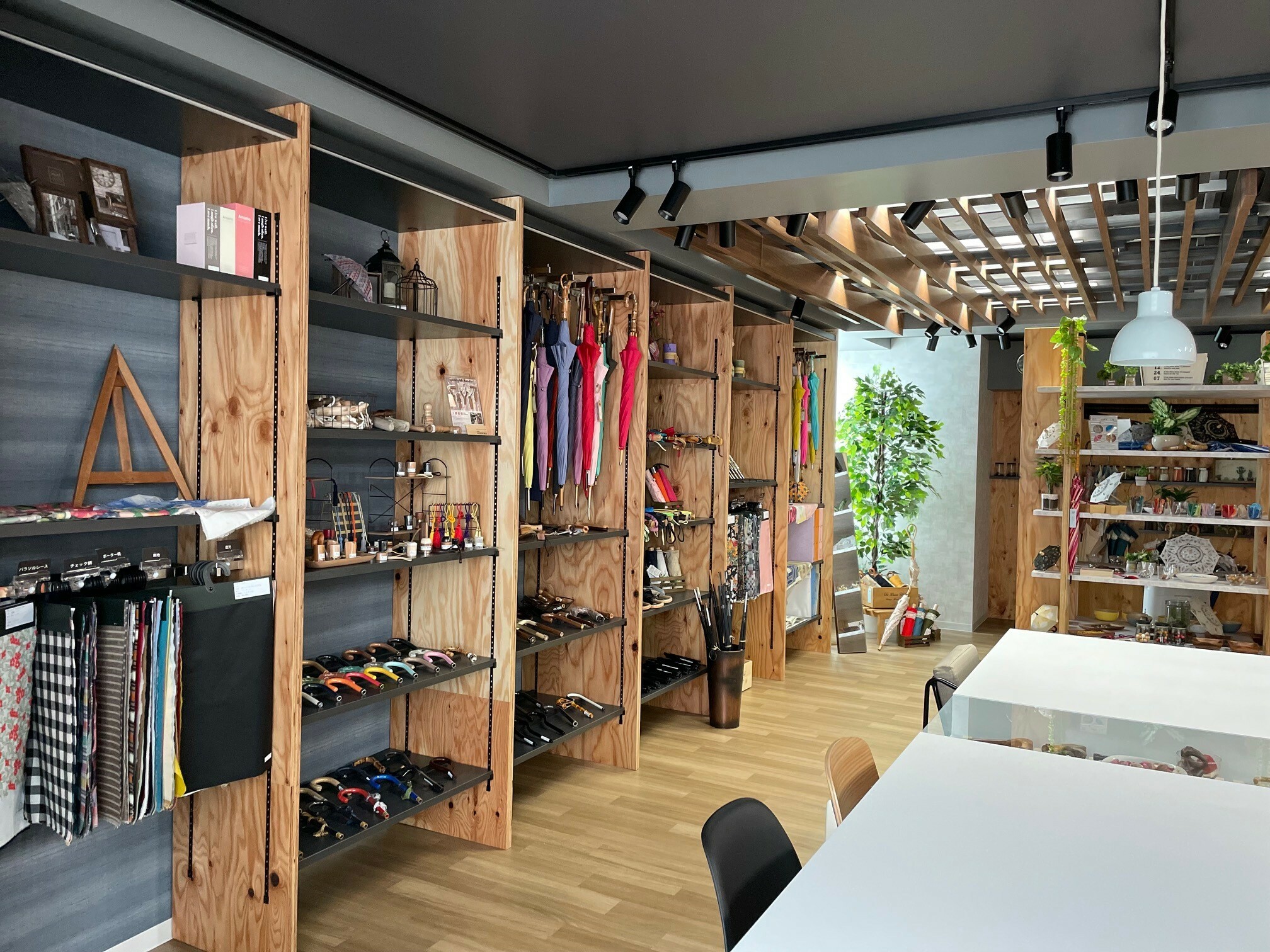 Sun | Shopping in Ningyocho, Tokyo