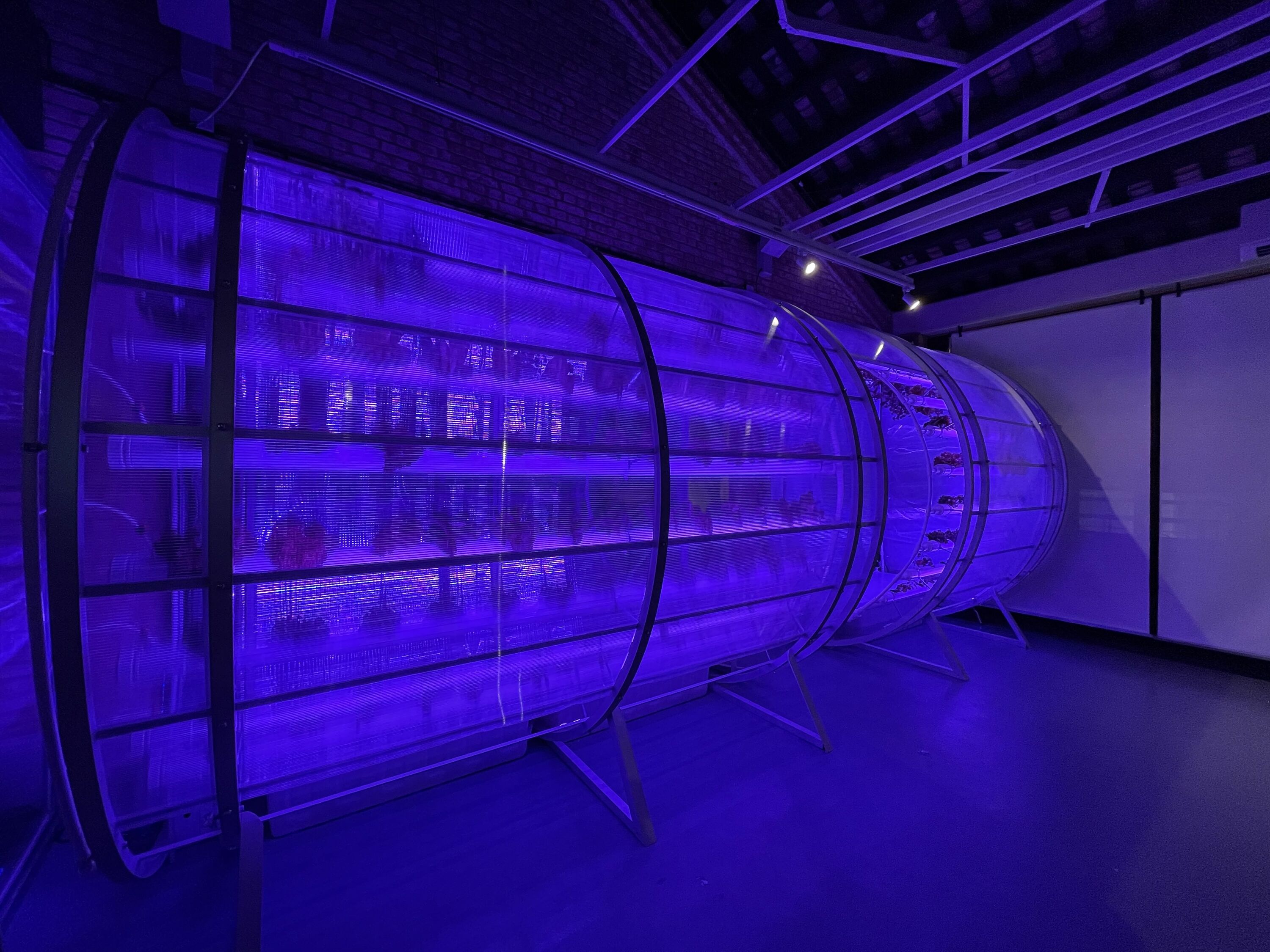 Dream Big Think Small | Art in Hong Kong