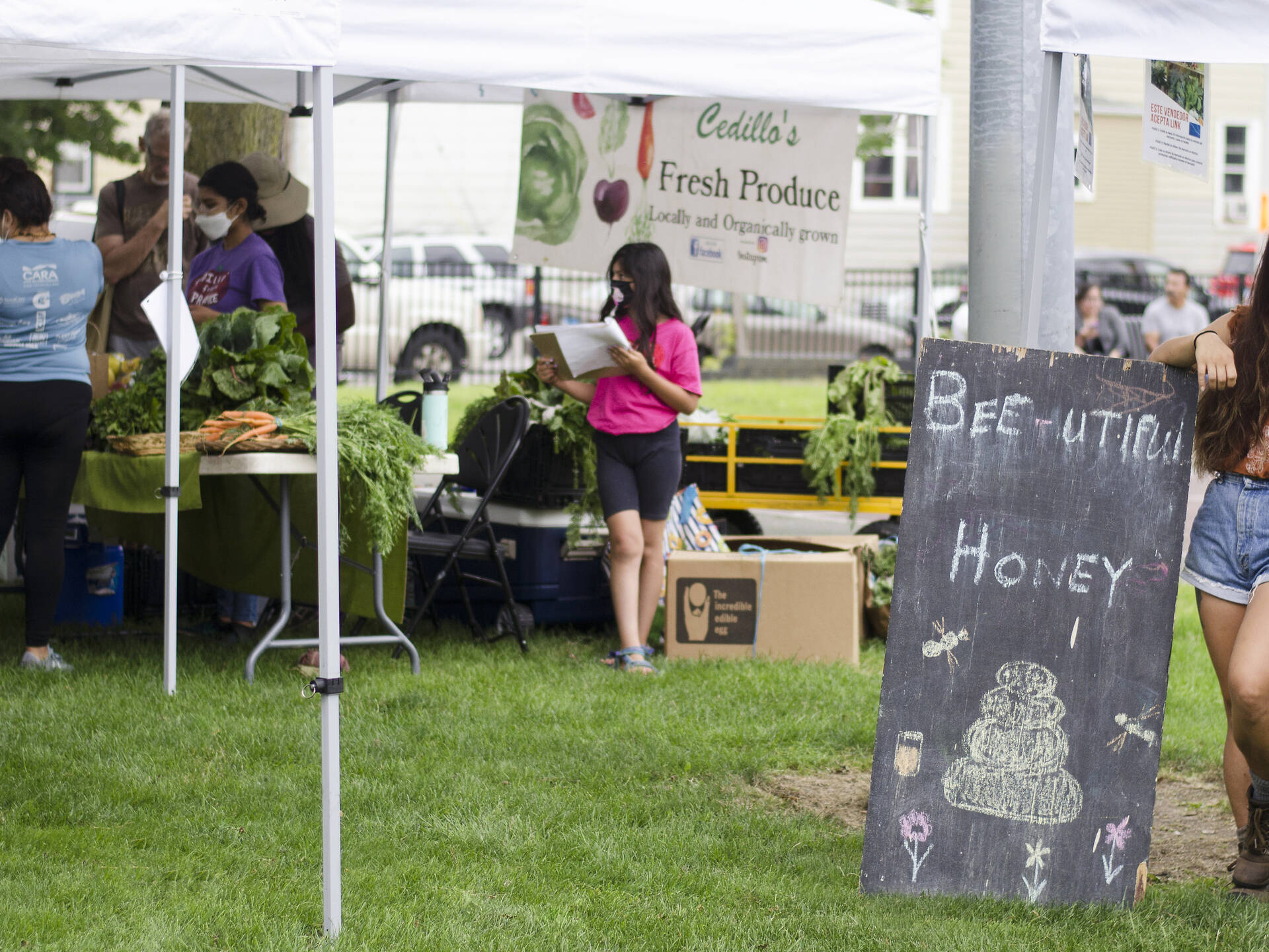 23 Best Farmers Markets in Chicago to Explore