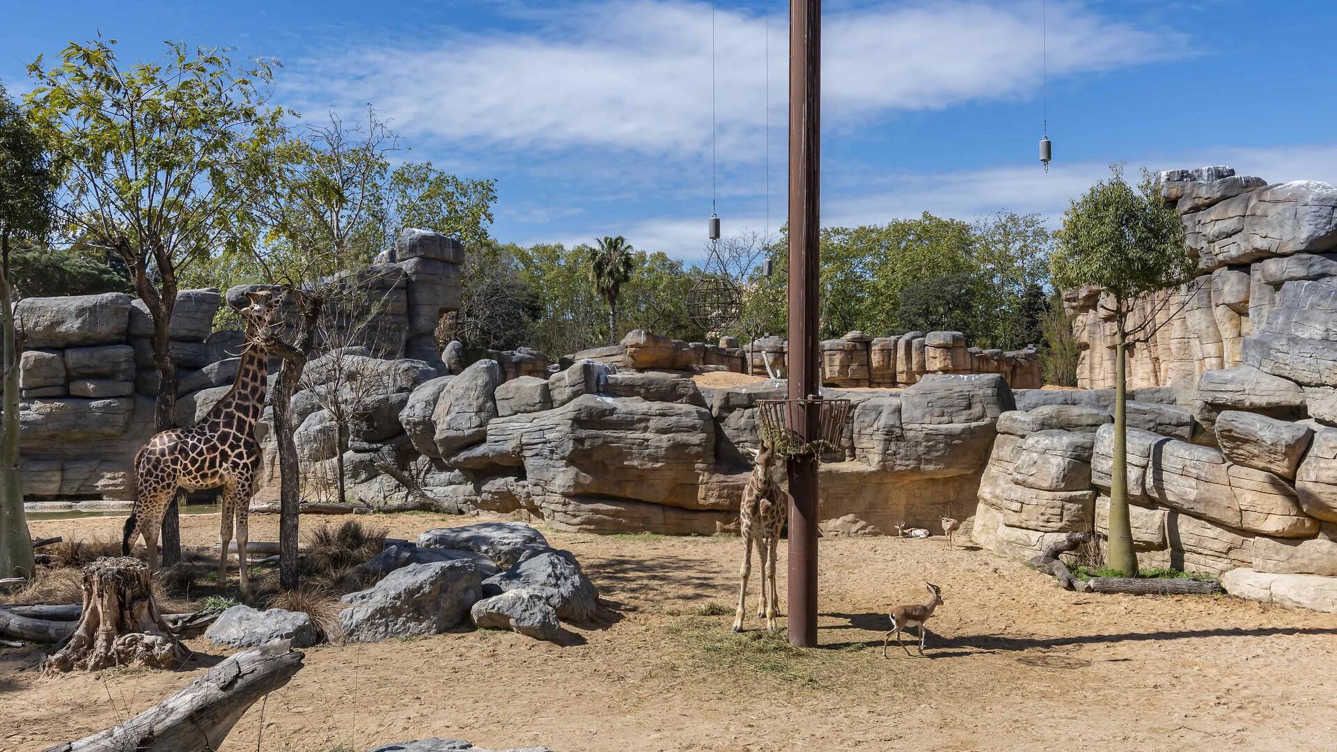 Zoo de Barcelona: Todos los detalles para una visita perfecta