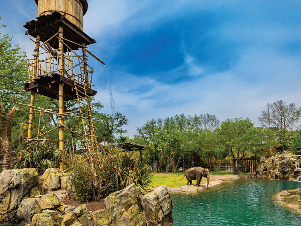 10 Best Things to Do in Fort Worth, Texas