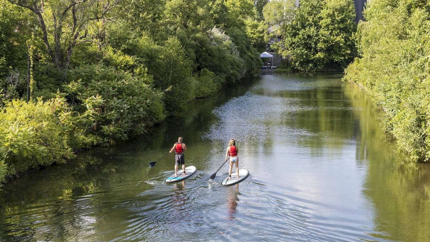 21 Best Montreal Parks to Explore