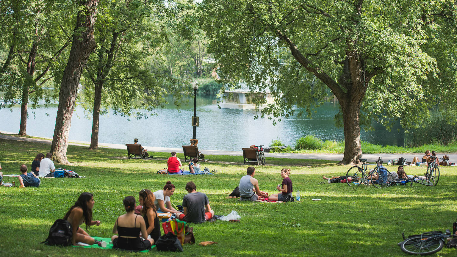 21 Best Montreal Parks to Explore