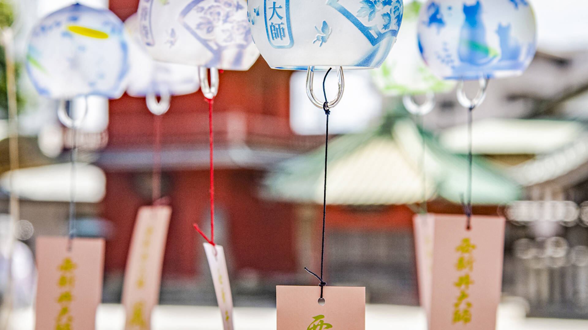 Fuurin Matsuri | Things to do in Tokyo